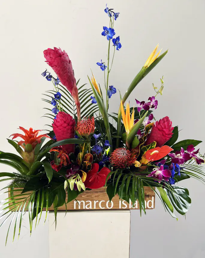 Tropical Flower Arrangements & Exotic Flowers | Best Value Same Day ...