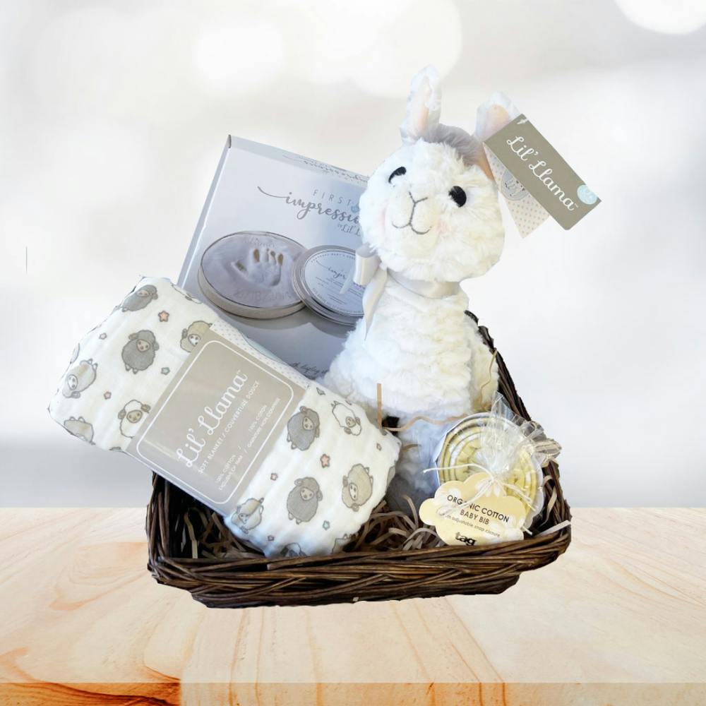 Little Baby Llama Gift Basket | Marco Island Florist (FL) Same-Day Baby ...