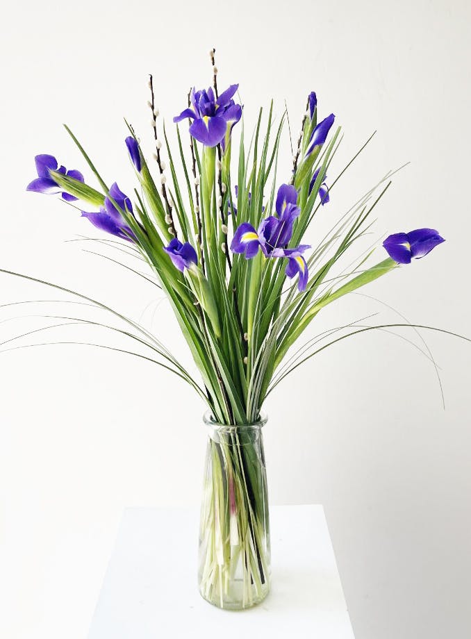 Simply Spring Iris | Marco Island Florist